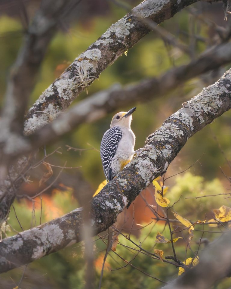 Sabinal, TX: Gateway to the Rivers & Cypress Trees - Visit Uvalde County
